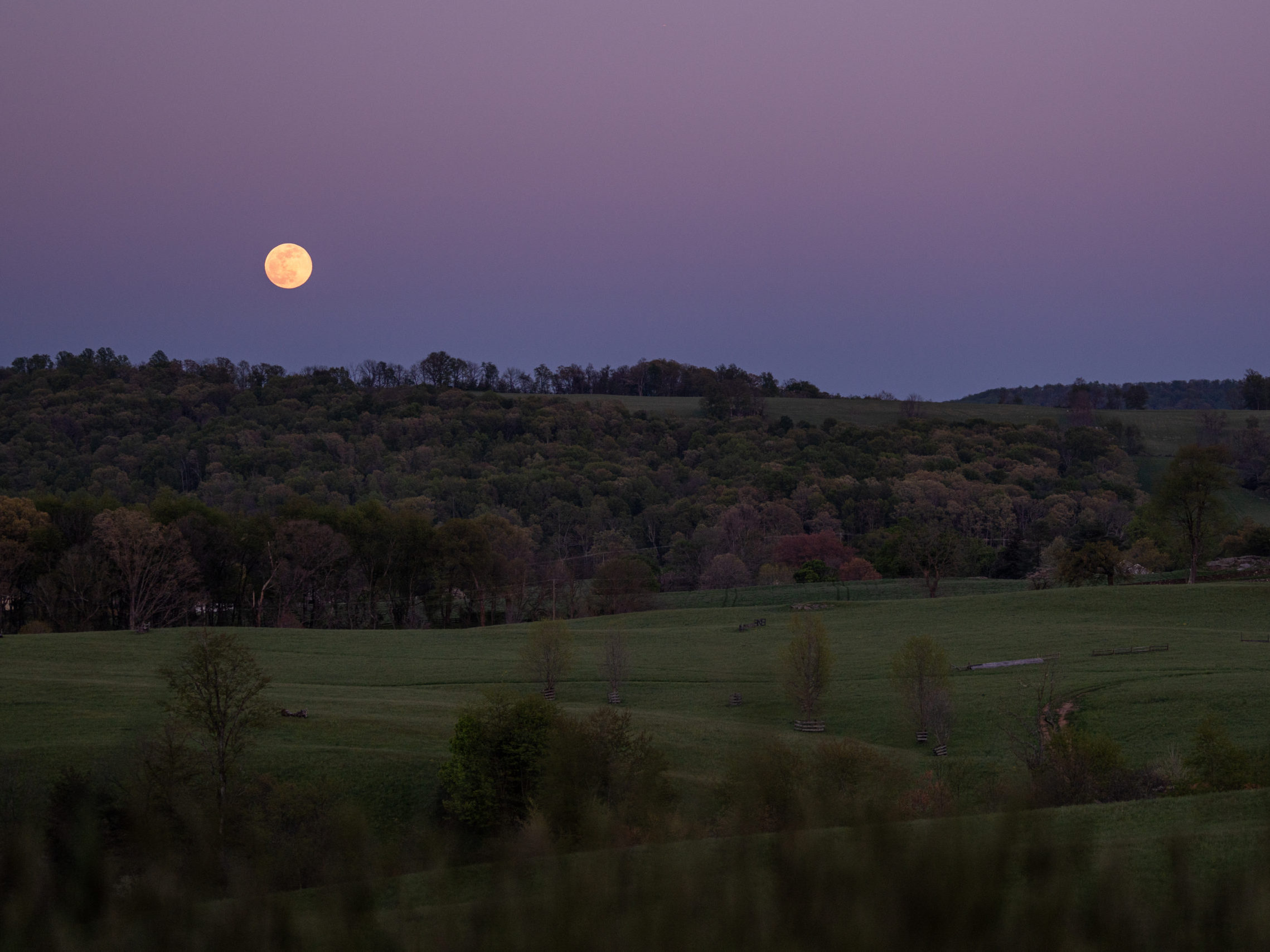 About - Virginia Conservation Network