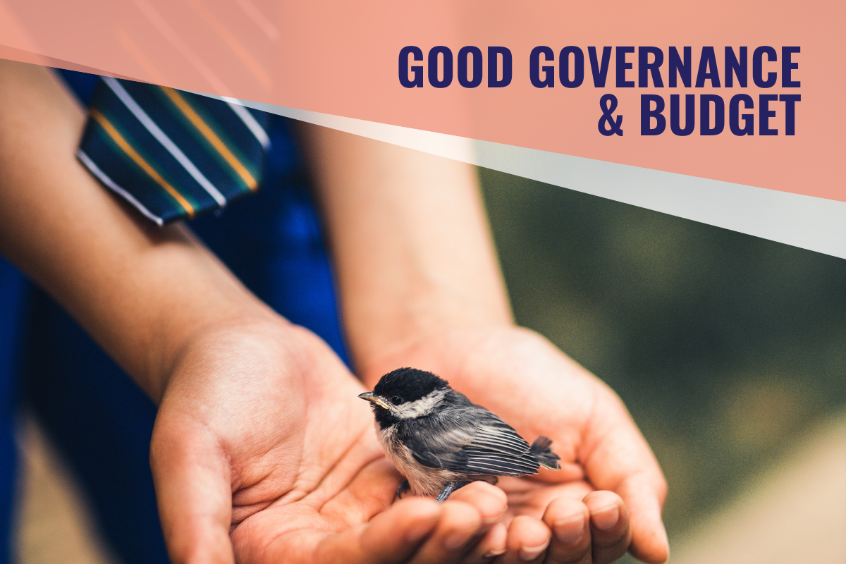 Budget Training & Good Governance Policy for Virginia
