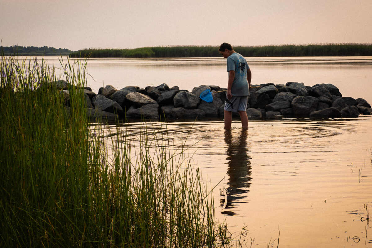 Clean Rivers, Creeks, and Bays - Virginia Conservation Network