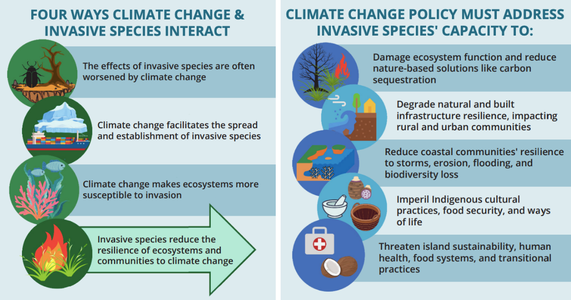 PREVENTING HARMS FROM INVASIVE PLANTS – Virginia Conservation Network